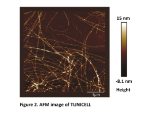 TuniCell | Medical Grade Nanofibrillar Cellulose